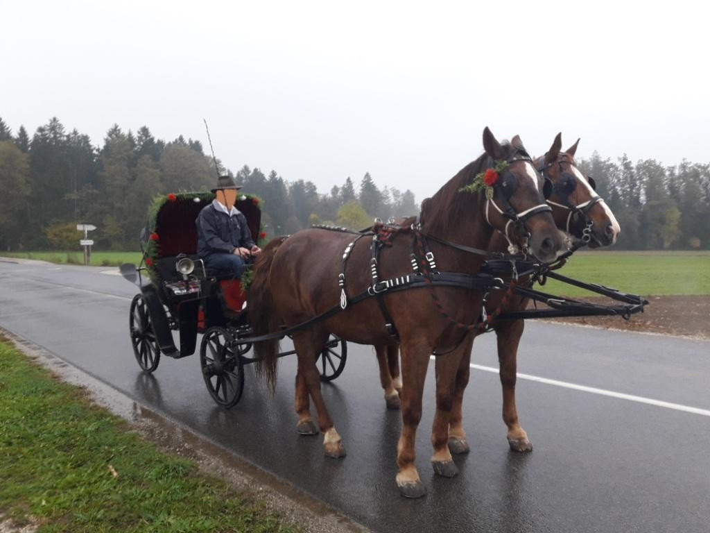 Kobili - kmetija24.si