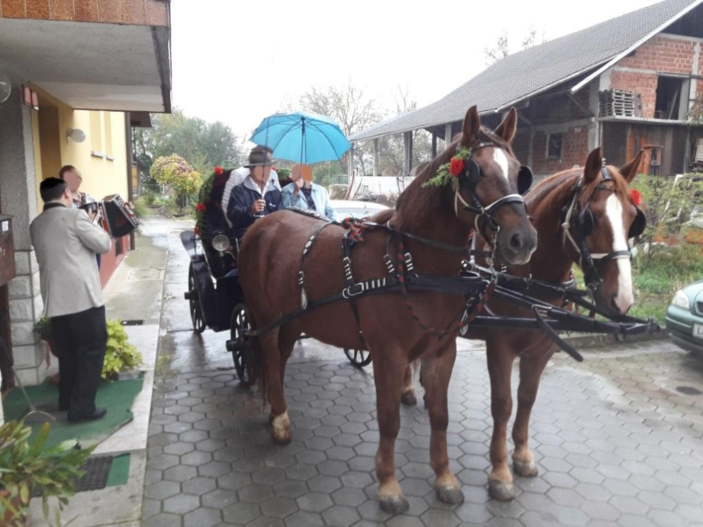 Kobili - kmetija24.si