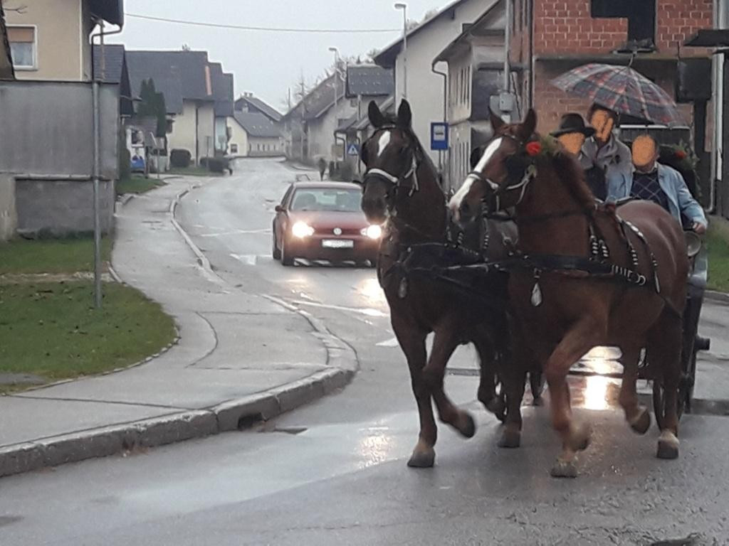 Kobili - kmetija24.si